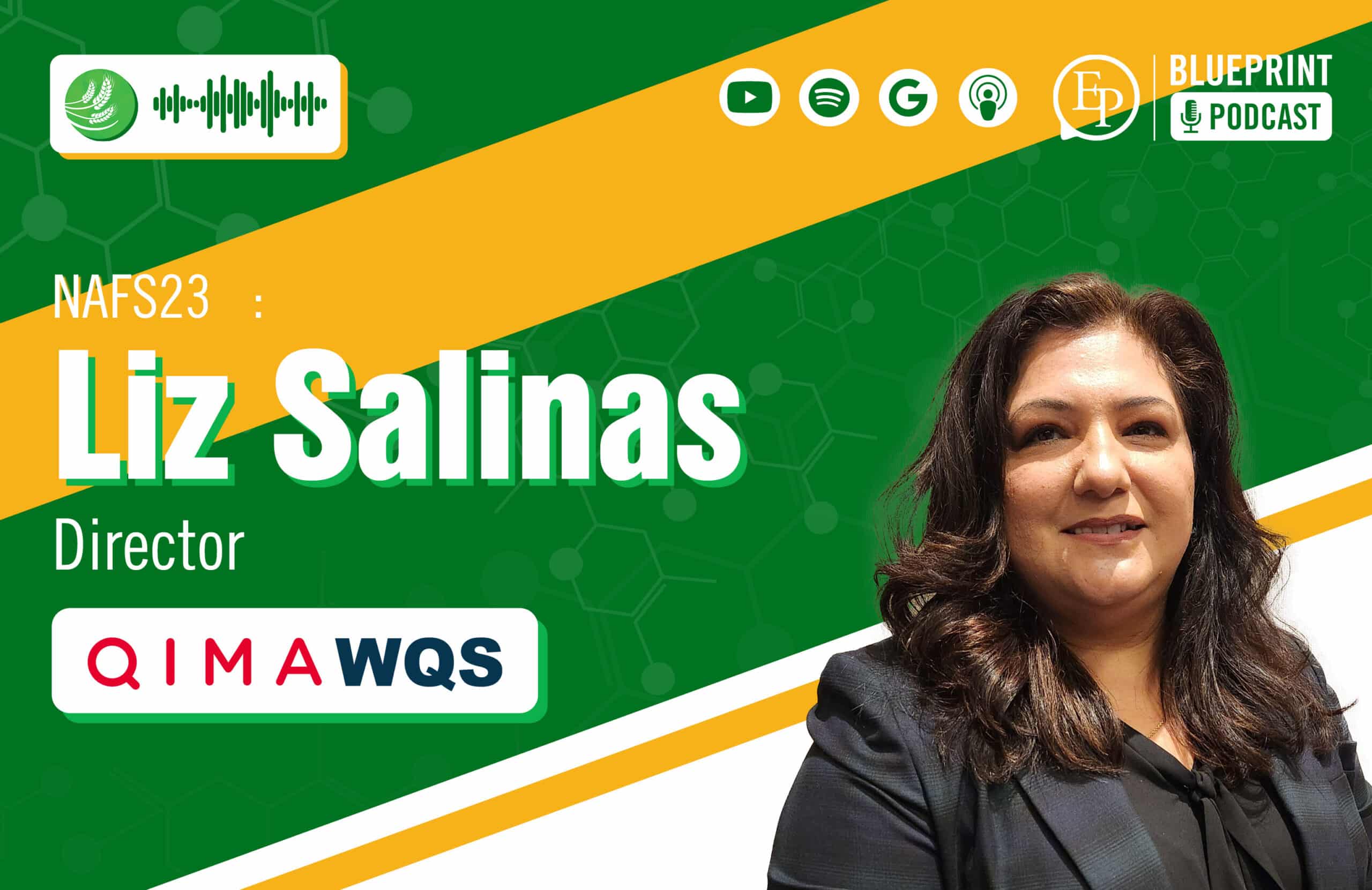 Auditing and Certification for Food Safety Professionals — A ...